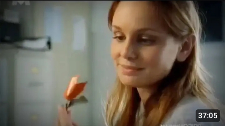 Sara and Michael le couple de prison break - LISAPPTV